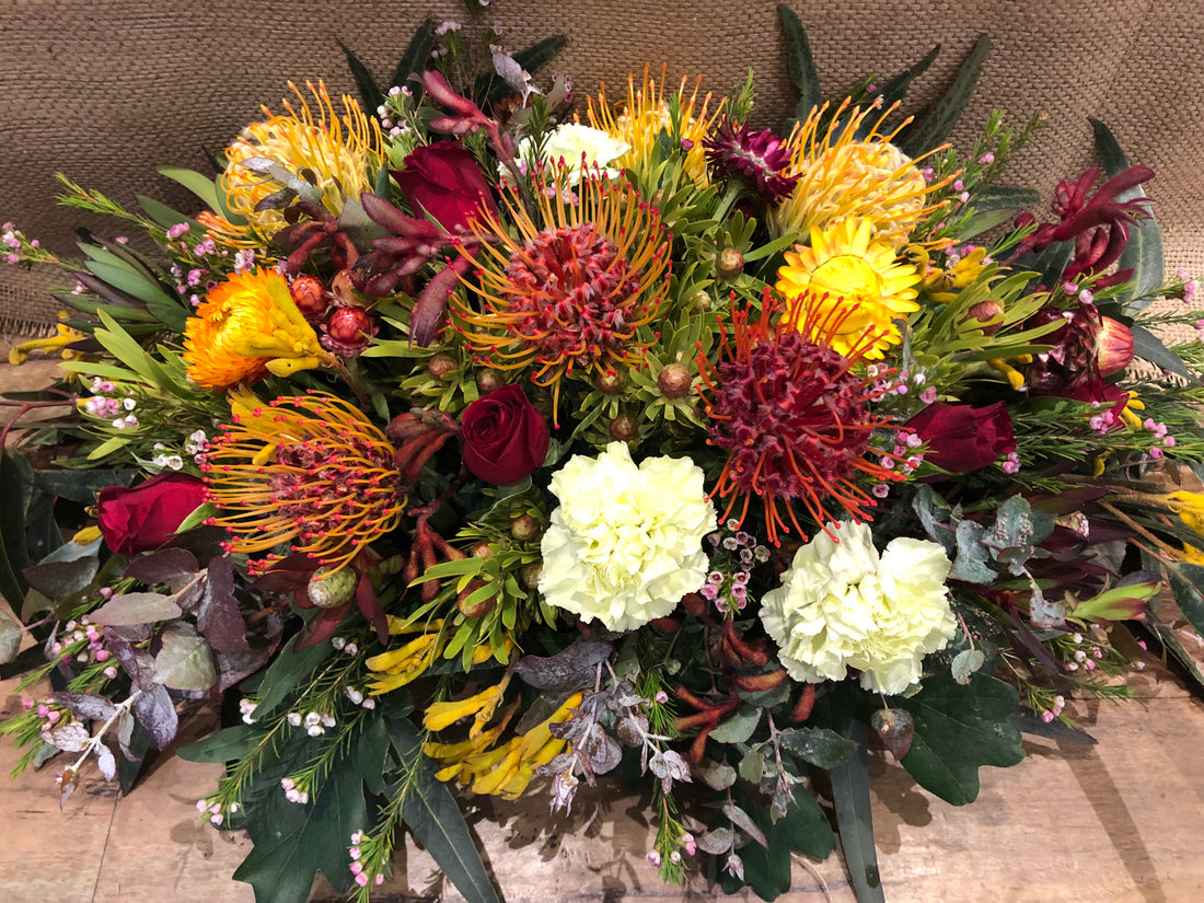 Blossoms of Canberra